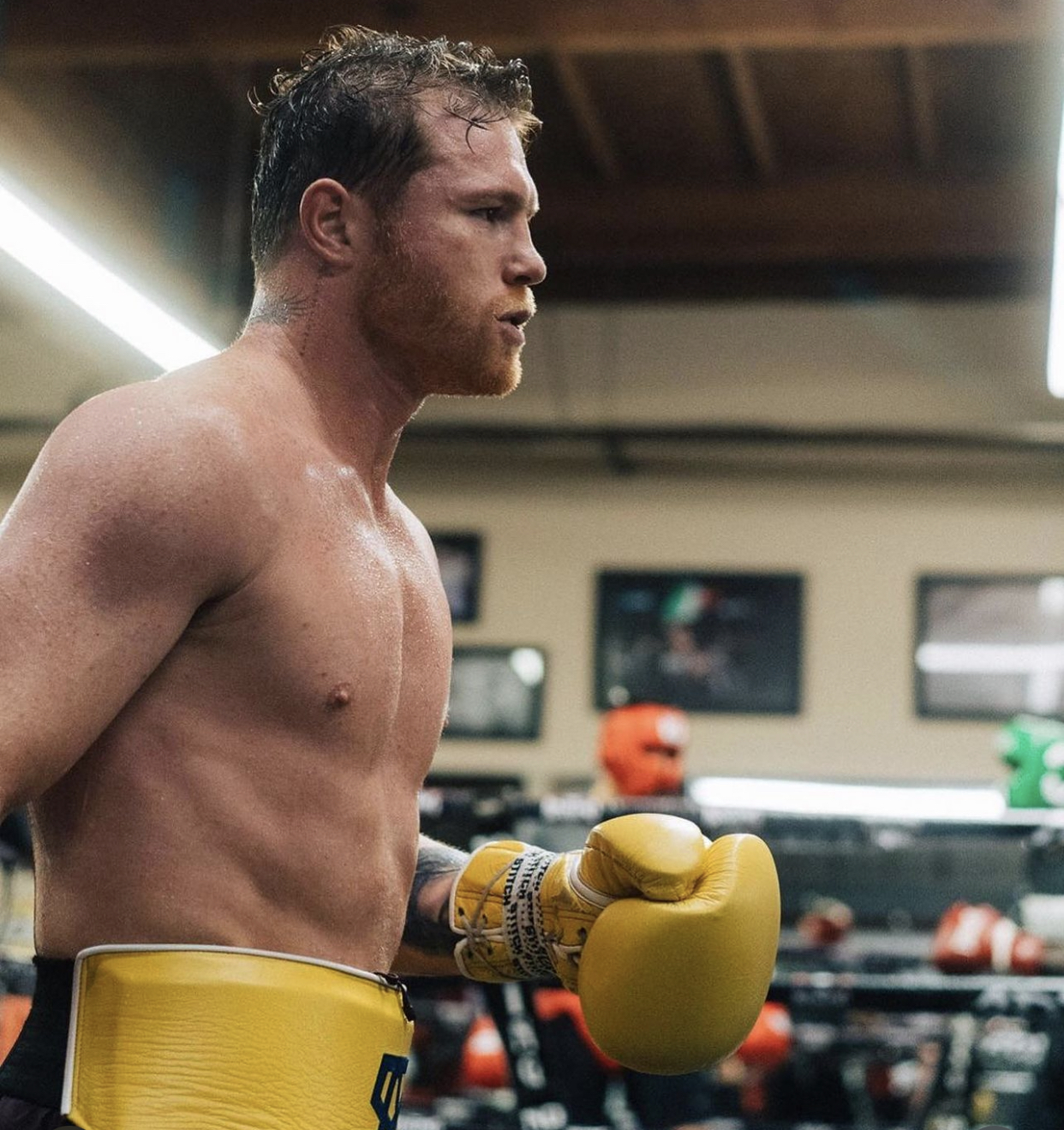 Canelo's 2024 Hit List: Charlo and Crawford in the Ring Crosshairs ...