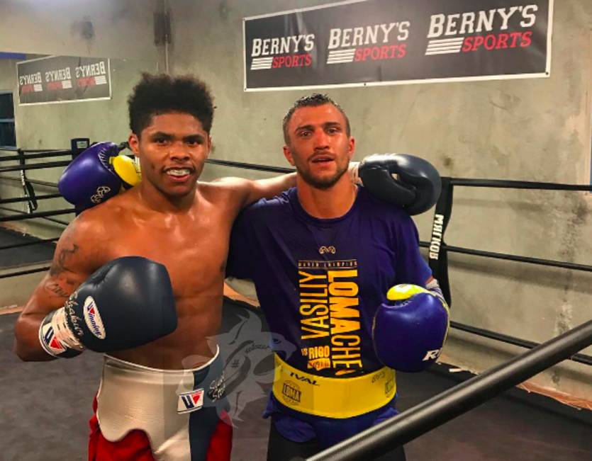 Boxing's Next Big Hit: Stevenson Proposes Lomachenko A Post-Fight ...