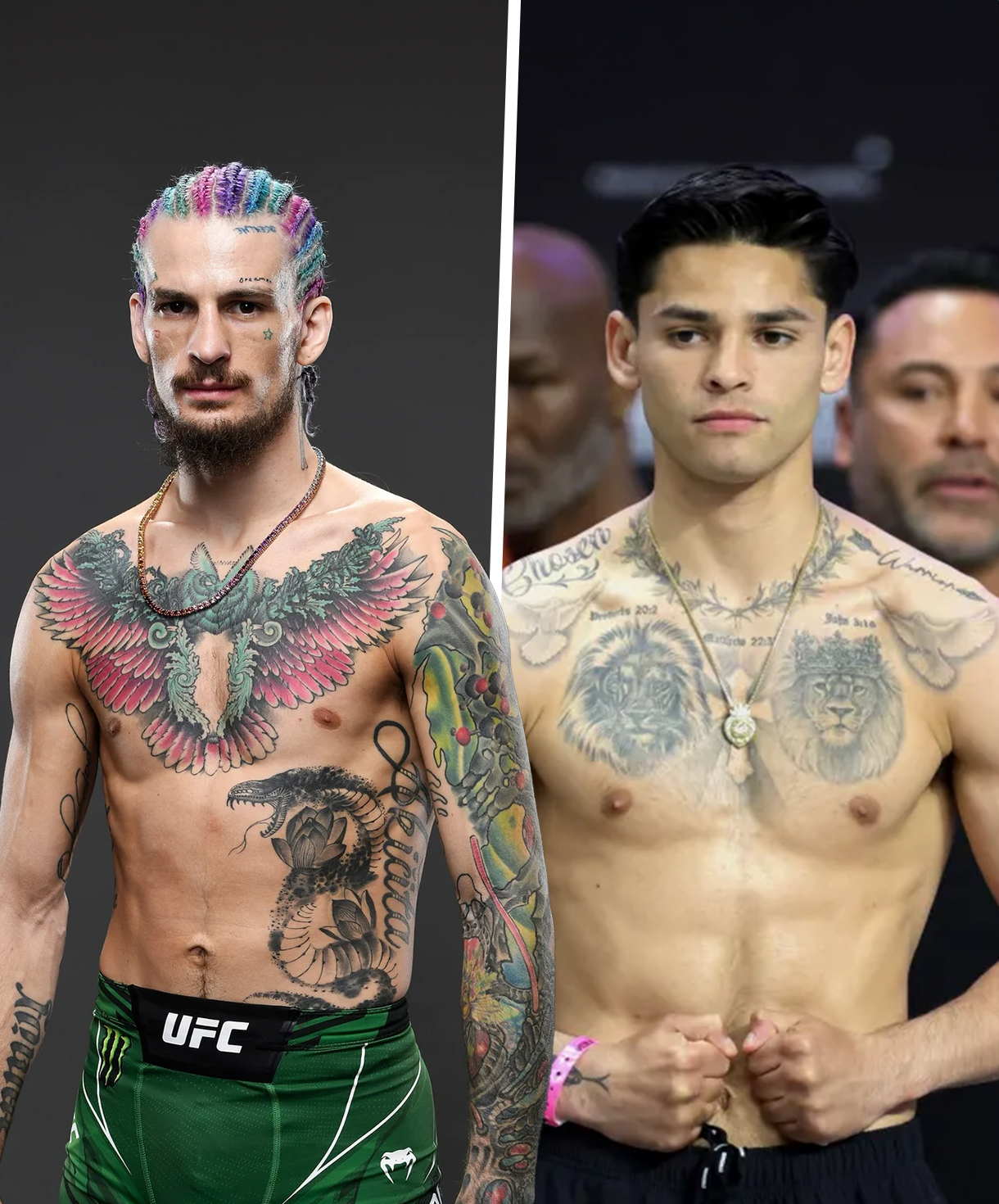 O'Malley Fires Back at Ryan! - Ready To Fight