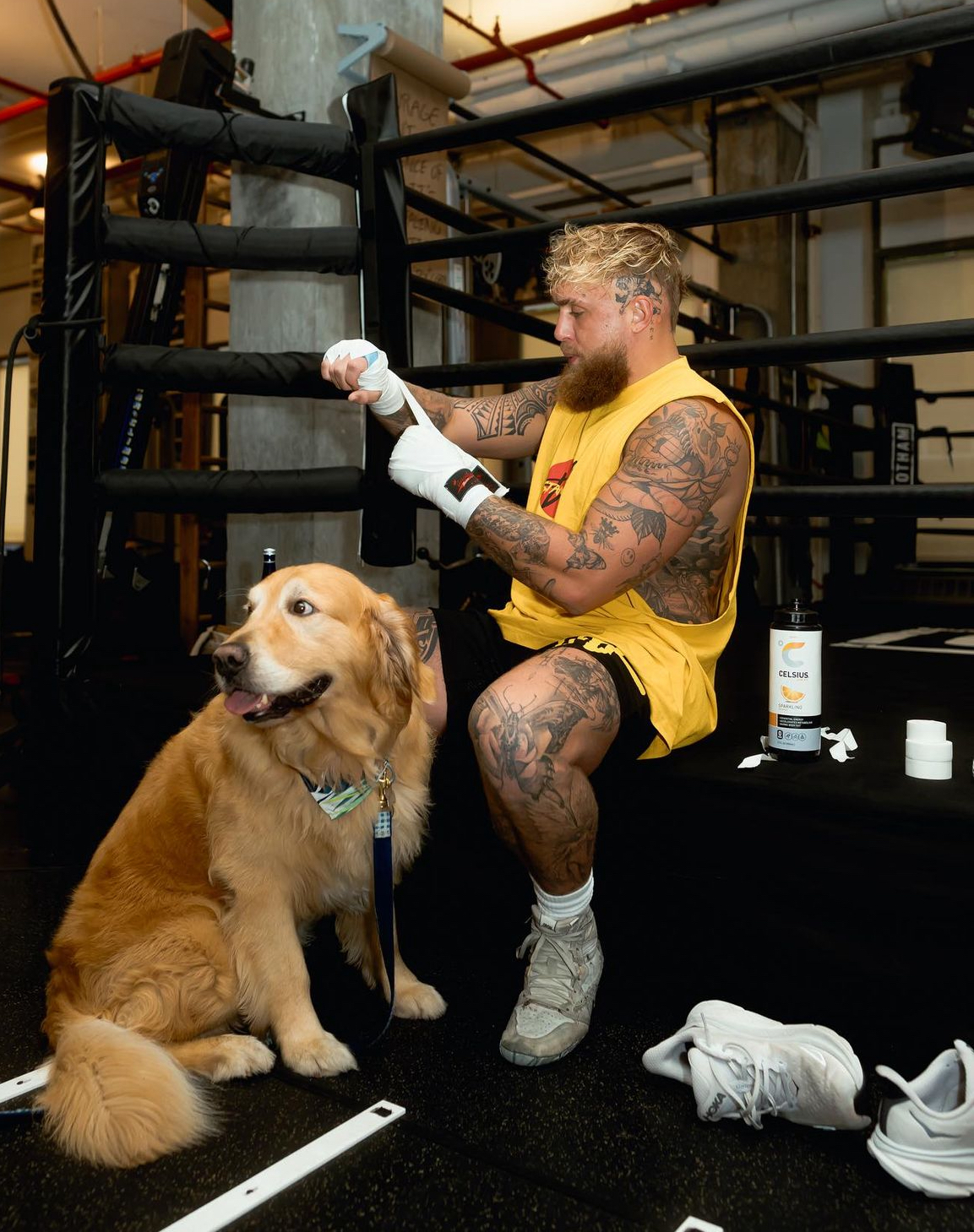 Paul: «Fat Will Turn Into Muscle» - Ready To Fight