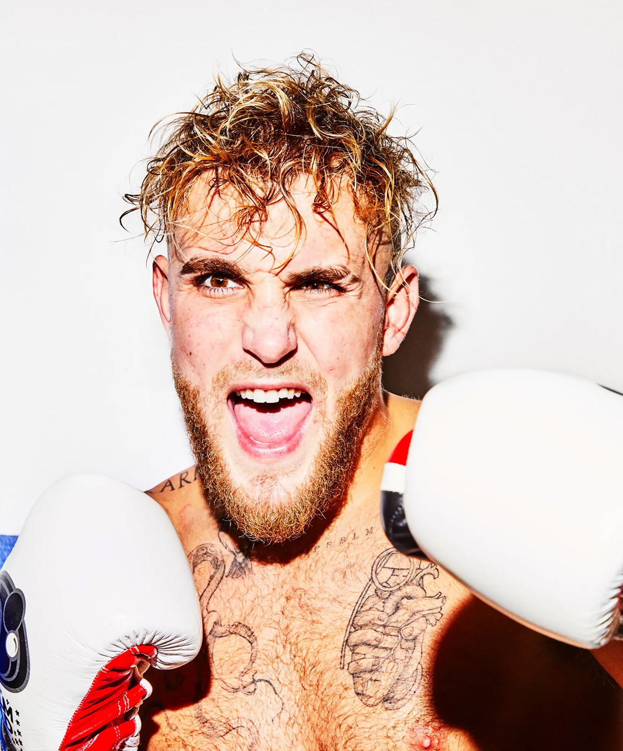 Jake Paul Challenges Canelo - Ready To Fight