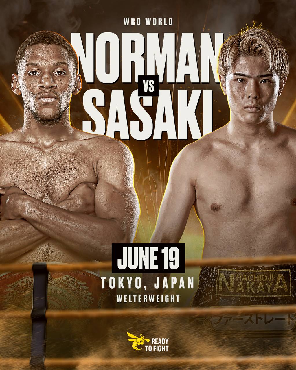 5 Things to Know About the Norman vs Sasaki Showdown - Ready To Fight