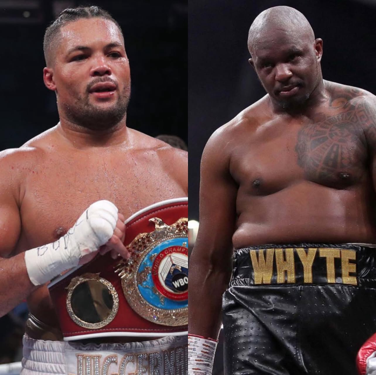 Official: Joe Joyce vs. Dillian Whyte Canceled - Ready To Fight