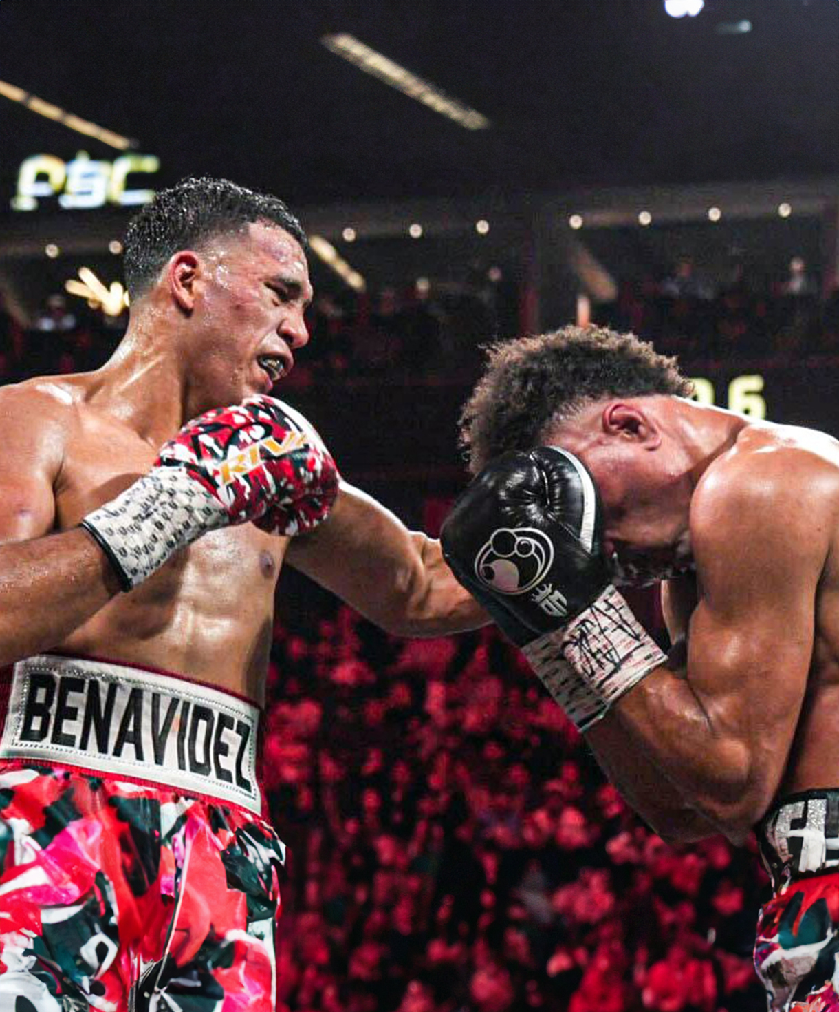 Benavidez Defeats Morrell in a Grueling Battle - Ready To Fight