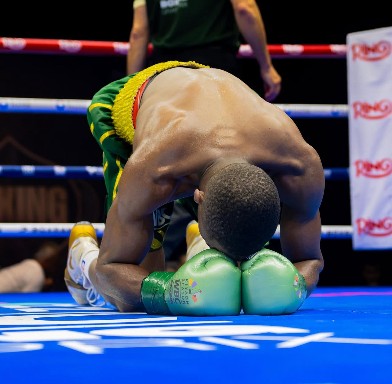 WBC Grand Prix: Round of 16 Results in the Featherweight Division ...